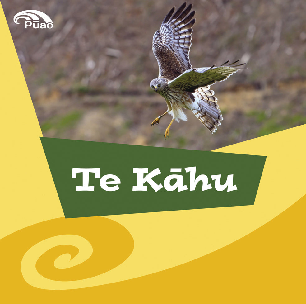 Ngā Manu – Pūao – Te Kāhu