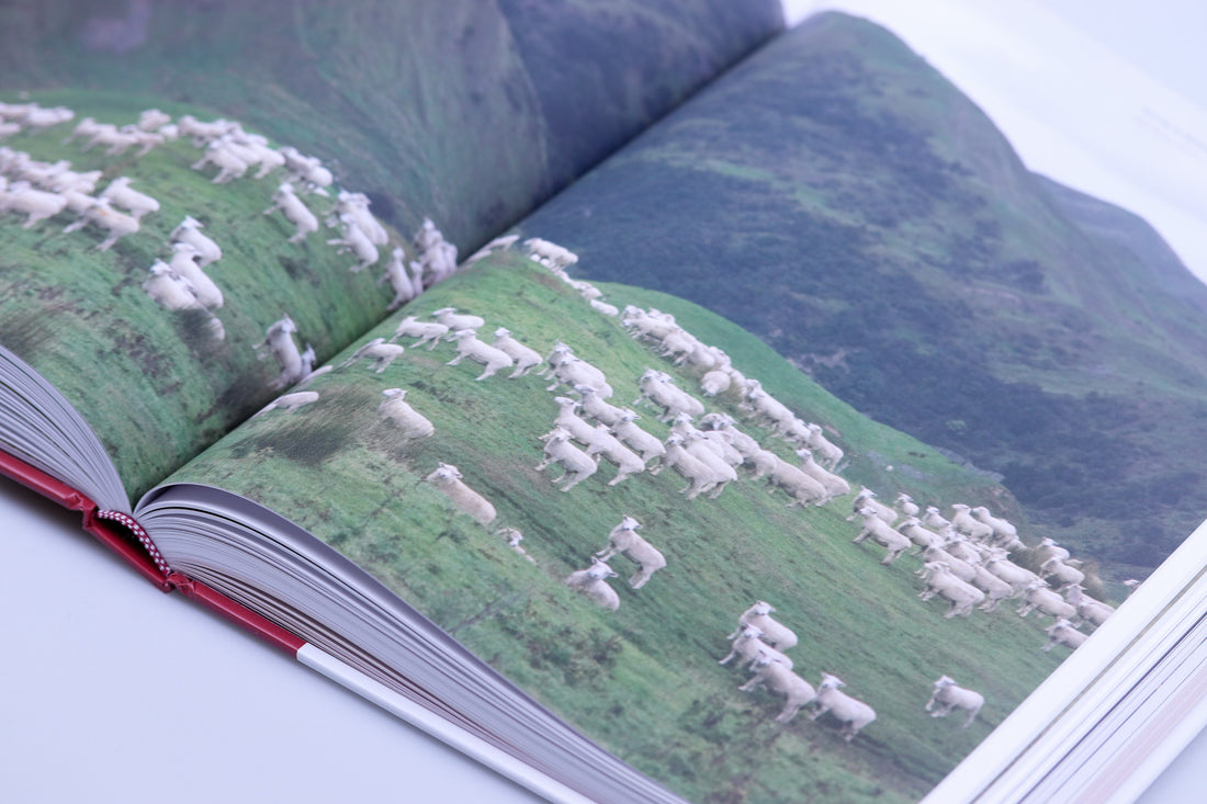 Ahuwhenua (Revised) Celebrating 90 Years of Māori Farming by Danny Keenan