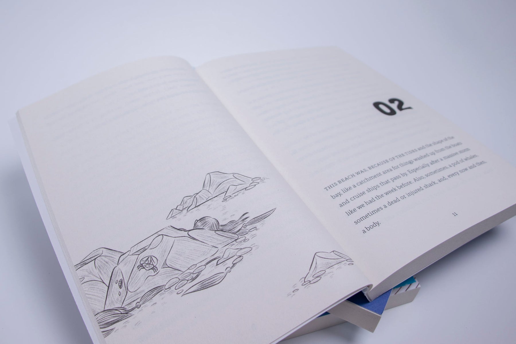 Charlie Tangaroa and the Creature from the Sea by T K Roxborogh