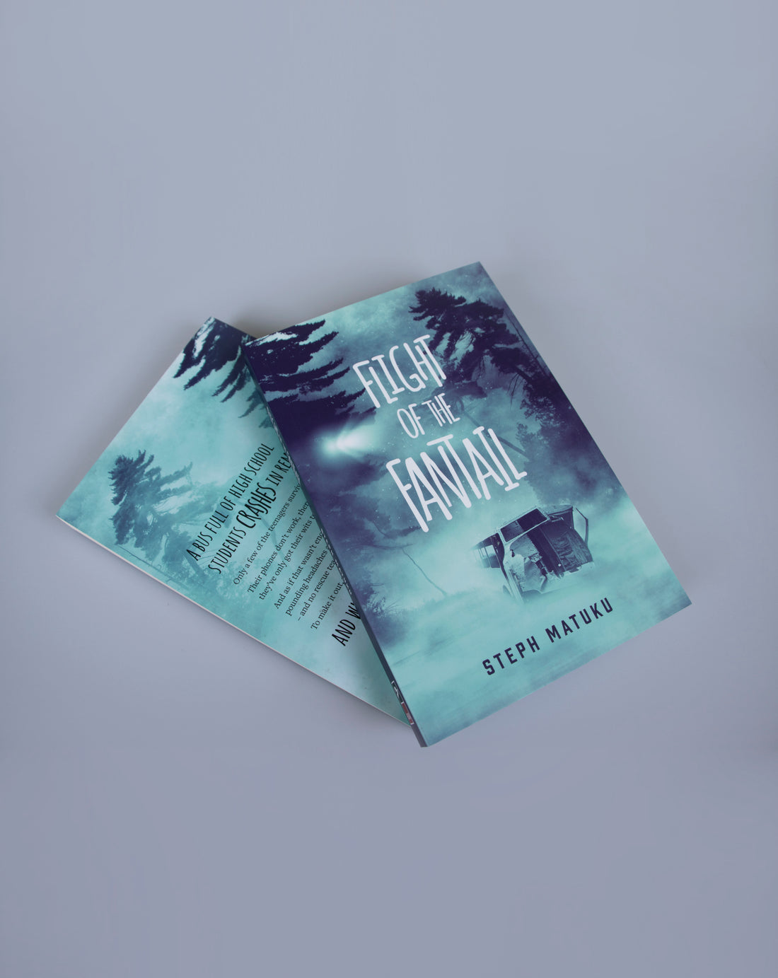 Flight of the Fantail by Steph Matuku