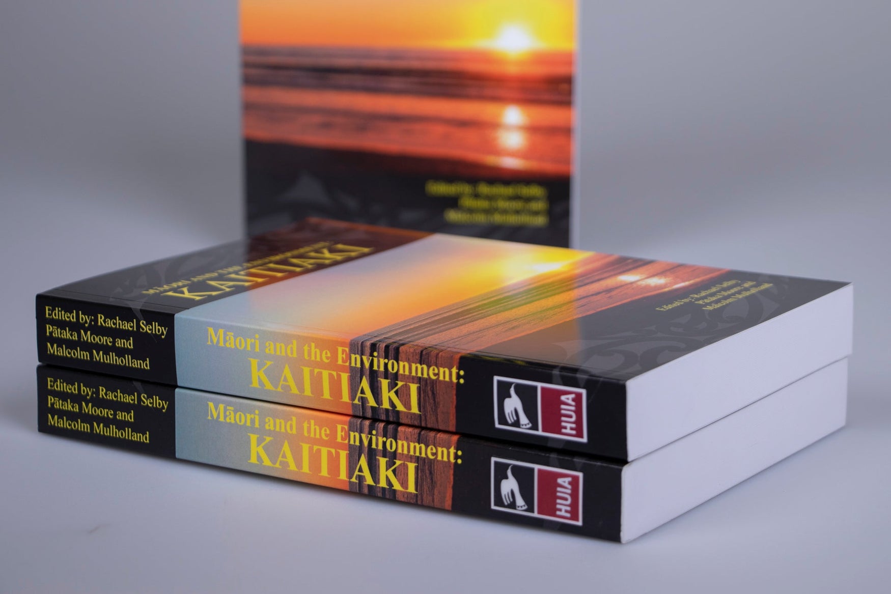 Māori and the Environment: Kaitiaki by Rachael Selby, Pātaka Moore and ...